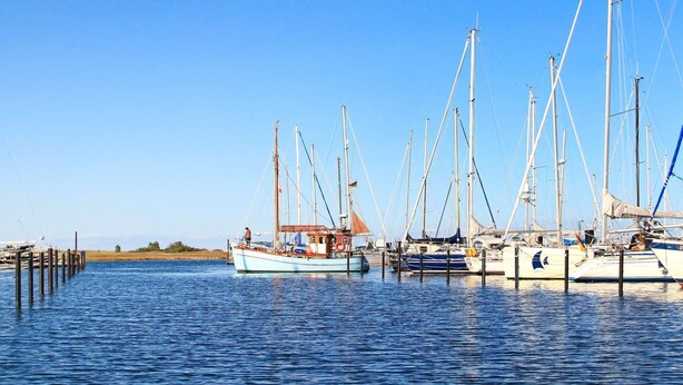 Marina com vários barcos atracados, águas calmas e céu limpo.