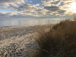 Uma praia com areia e vegetação rasteira.