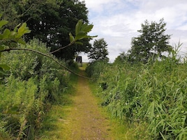 Um caminho estreito e gramado que leva a uma construção em ambiente natural.