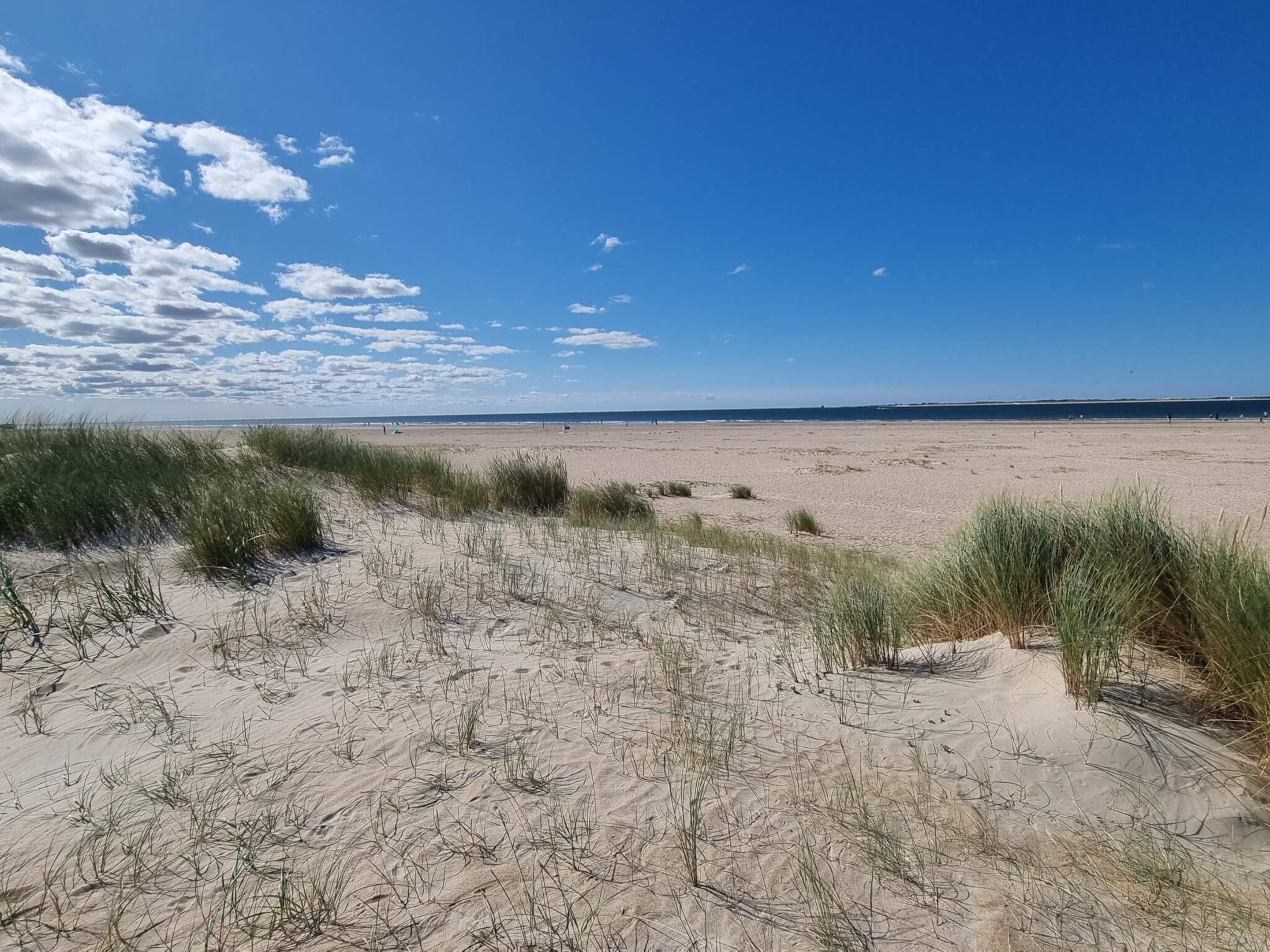 Uma extensa praia de areia com vegetação rasteira e um céu azul límpido.