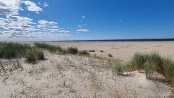 Uma extensa praia de areia com vegetação rasteira e um céu azul límpido.