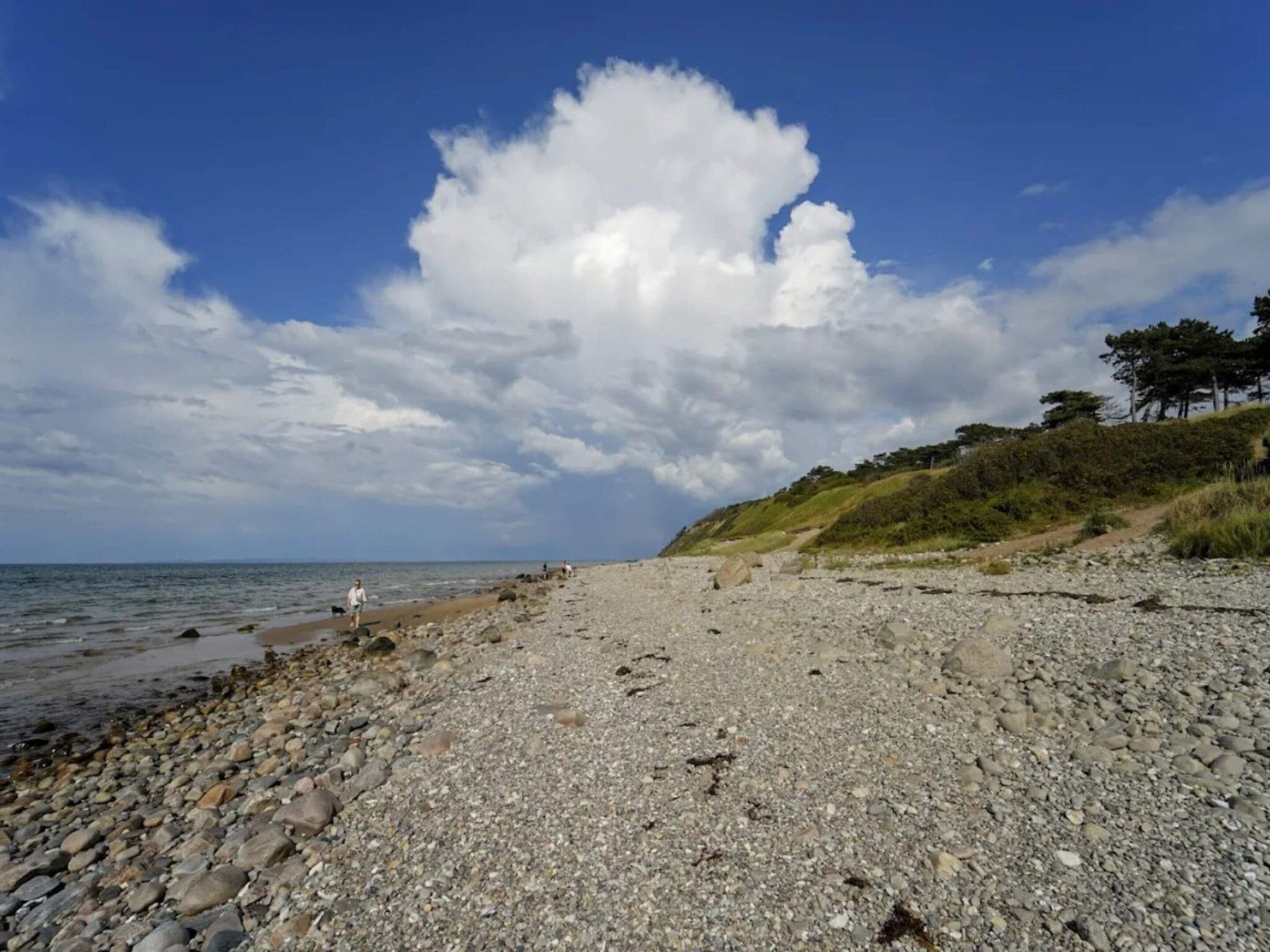 Uma praia de pedras com céu claro e árvores ao longe.
