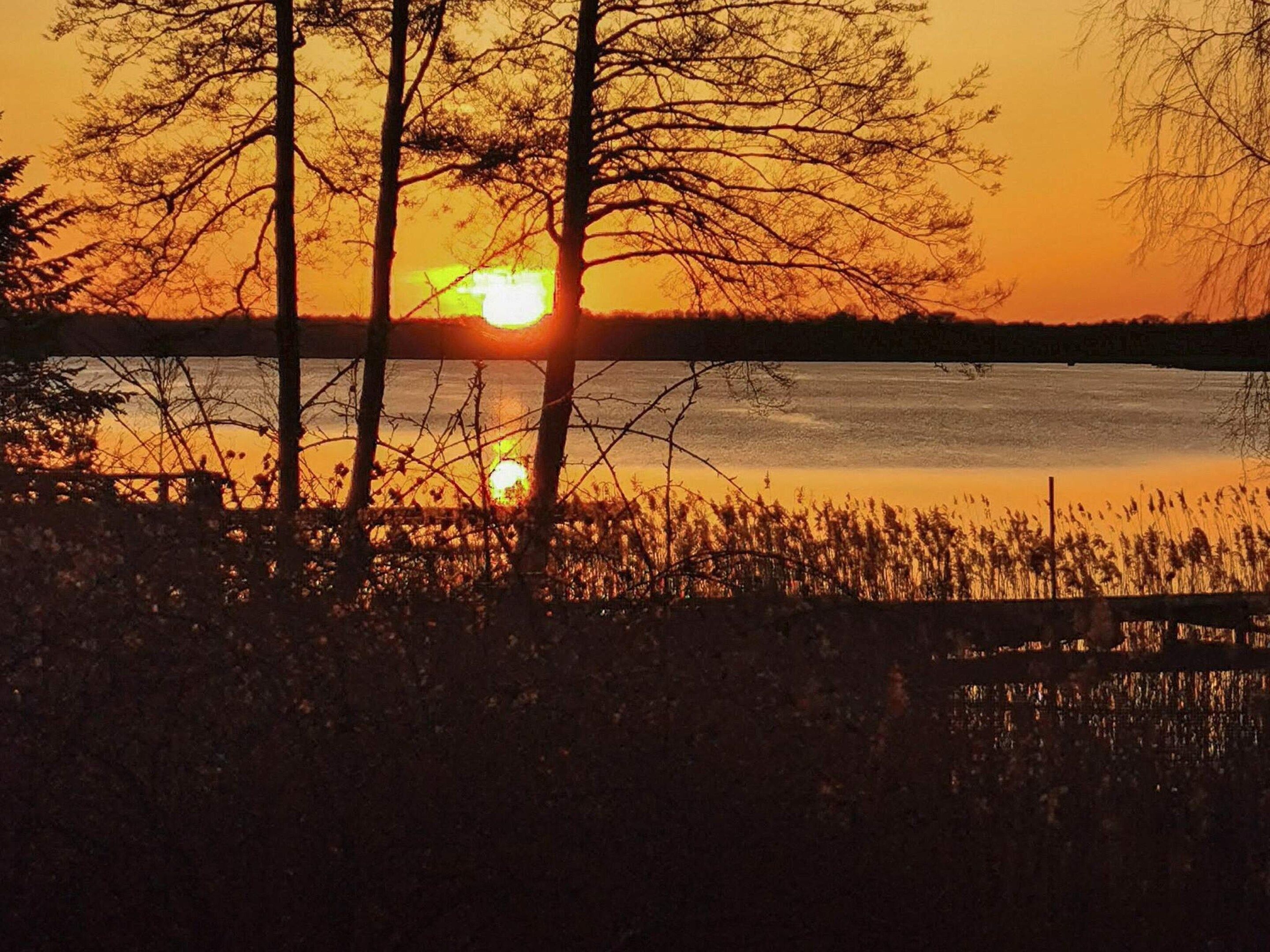 Um pôr do sol sobre a água, com silhuetas de árvores no céu.