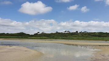 Uma praia com areia dourada, águas calmas e uma colina arborizada ao fundo.
