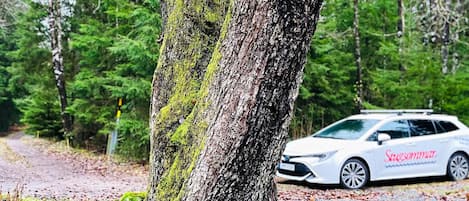 Uma árvore com musgo e um carro branco com a marca 'Stugomur' estacionado em um caminho coberto de folhas.