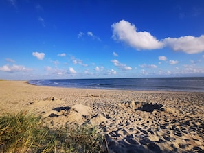 Uma praia com dunas de areia e vegetação rasteira.