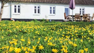 Um edifício branco com telhado ladrilhado, um guarda-sol roxo e um campo de flores amarelas.
