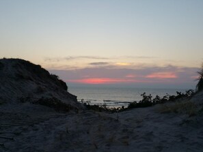 Uma praia com vista para o pôr do sol, areia e vegetação.