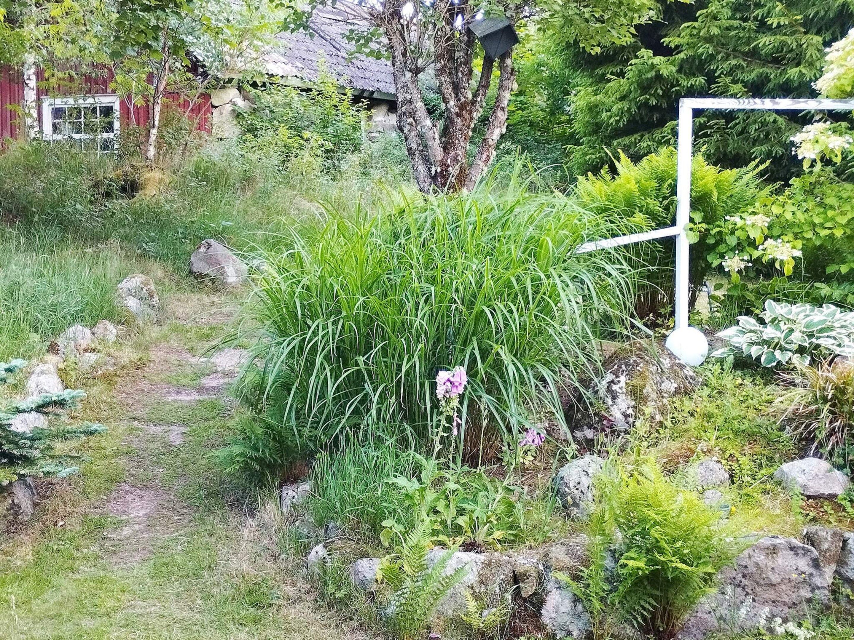 Um jardim com diversas plantas e um caminho de pedra.