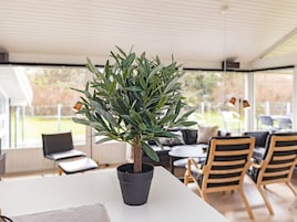 Casa | Parte interna