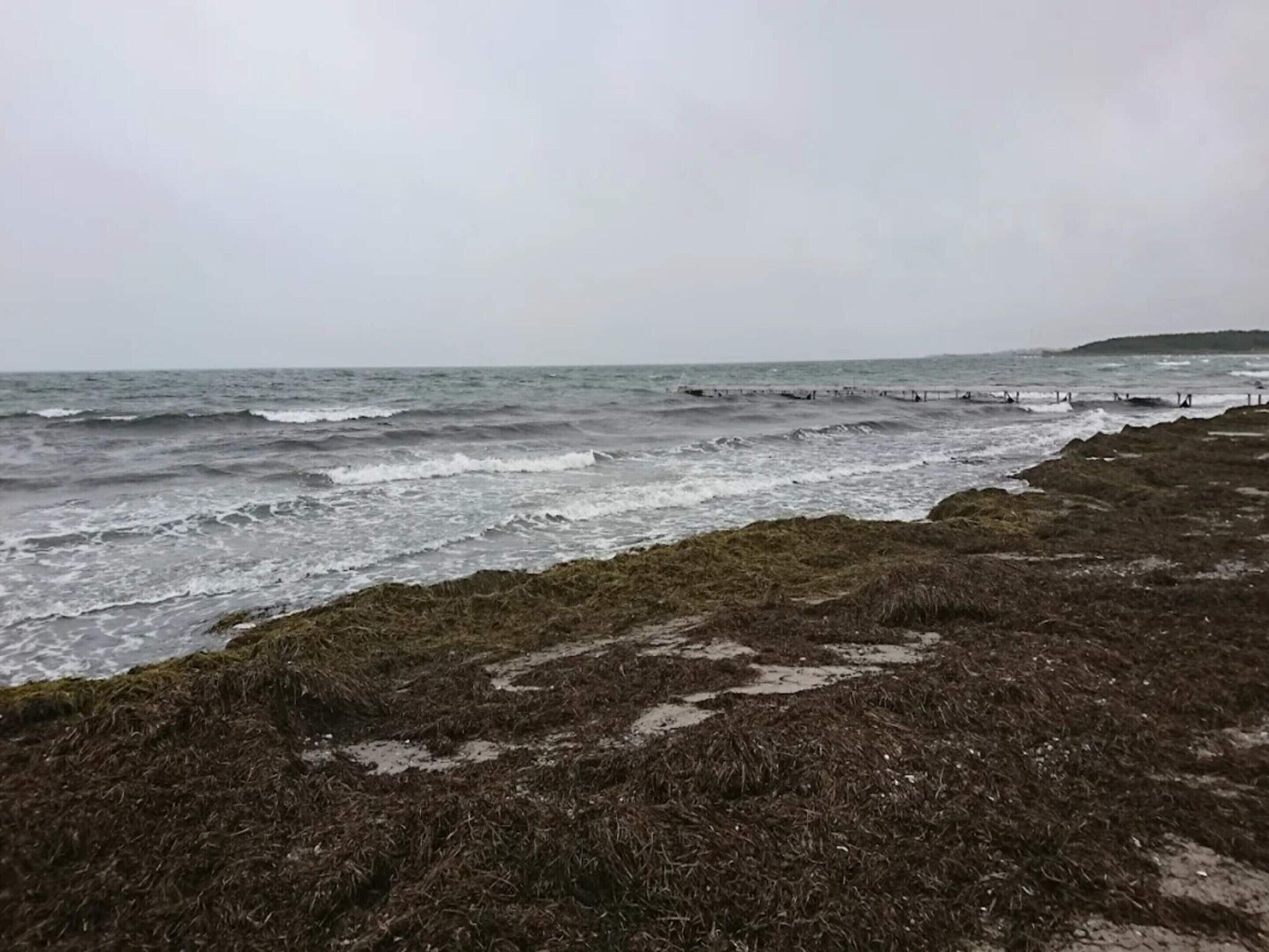 Uma área costeira com ondas fortes, terreno rochoso e vegetação escassa.
