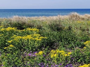 Paisagem costeira com vista para o mar, com flores silvestres amarelas e roxas em primeiro plano.