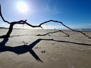 Uma praia com um galho de árvore seca em destaque projetando uma sombra, pegadas na areia e um céu claro.