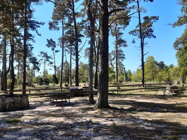 Um parque com bancos, árvores e um céu claro.