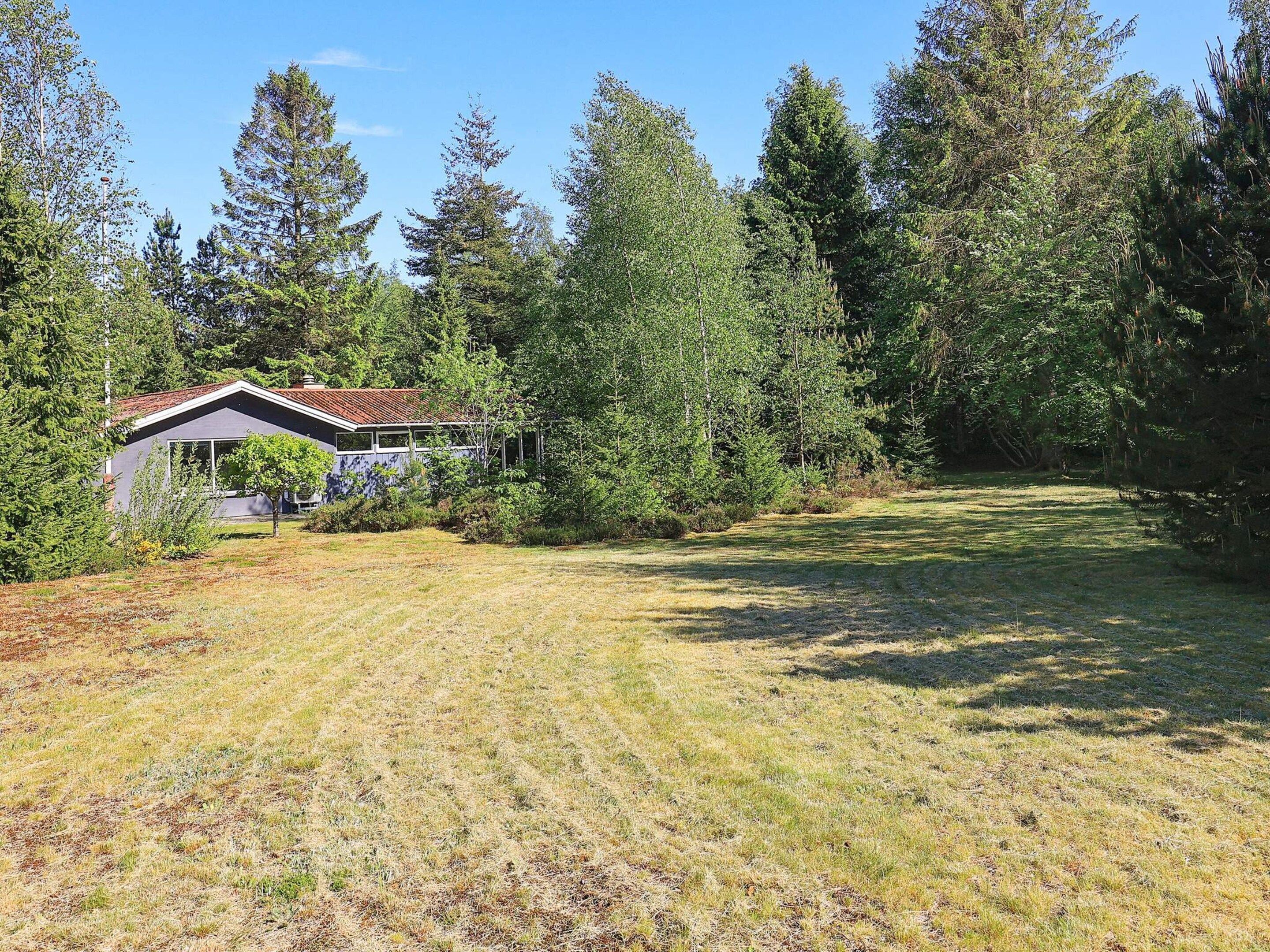 Uma casa com telhado inclinado, rodeada por uma floresta densa e um gramado.