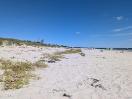 Uma praia arenosa com vegetação rala e céu claro.