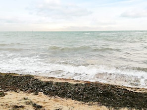 Uma praia com ondas e algas na areia.