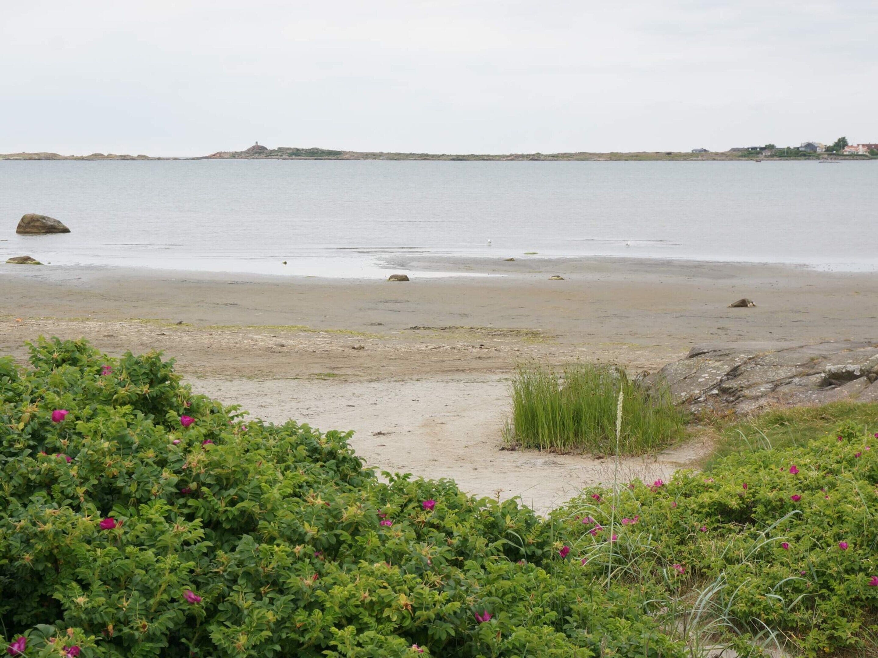 Uma praia com areal, vegetação verde e águas calmas.
