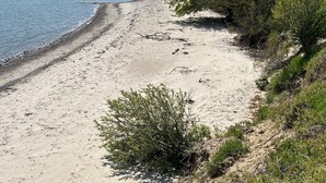 Uma praia arenosa com vista clara do oceano, cercada por vegetação.