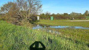 Um campo gramado com lago, árvores e uma pequena construção.