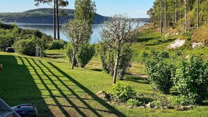 Paisagem verdejante e exuberante com um lago e árvores ao fundo.