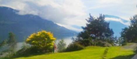 Área da propriedade