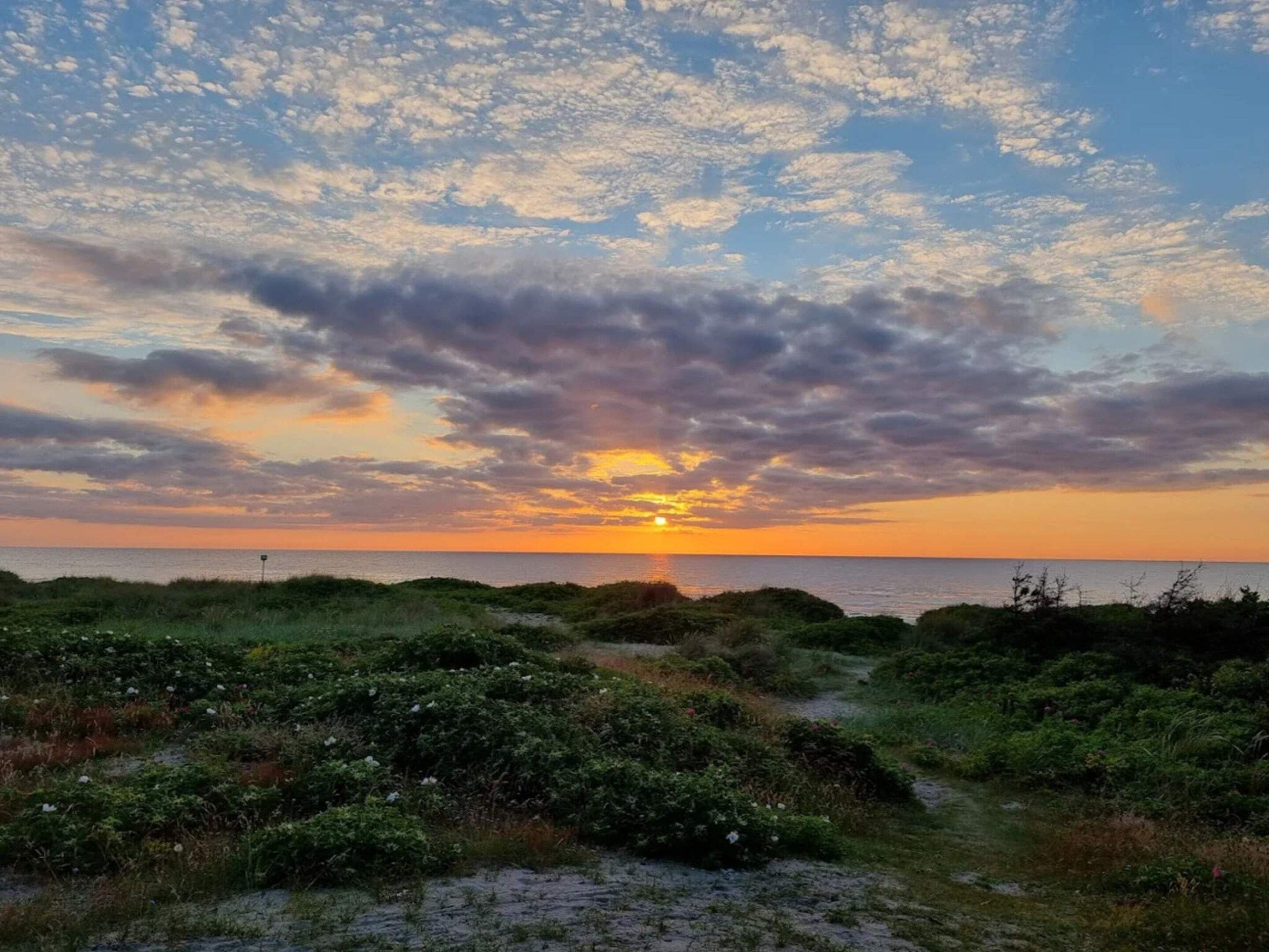 Paisagem costeira com um caminho que leva ao mar, cercada por vegetação.