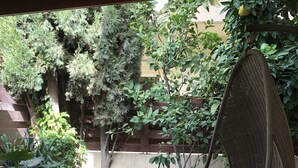Terraço/pátio