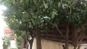 Área da propriedade
