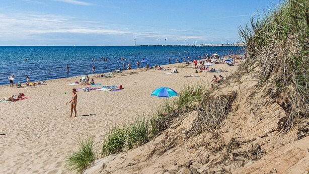 Uma praia com pessoas se banhando e tomando sol, uma orla arenosa e turbinas eólicas ao longe.