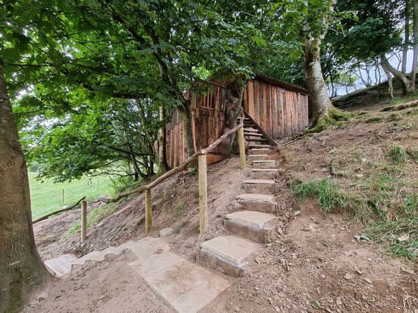 Tree House - Ceredigion