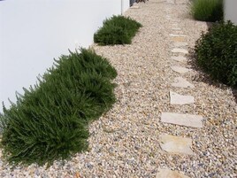 Terrenos do alojamento