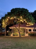 Uma casa com varanda coberta, uma árvore com luzes penduradas e um telhado de telhas vermelhas.