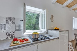 Casa família, vários quartos (Eco House Casa Grigia Zabodarski) | Cozinha privada | Geladeira, cooktop, torradeira, talheres/pratos/utensílios de cozinha