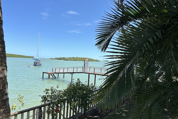 Passeios de barco