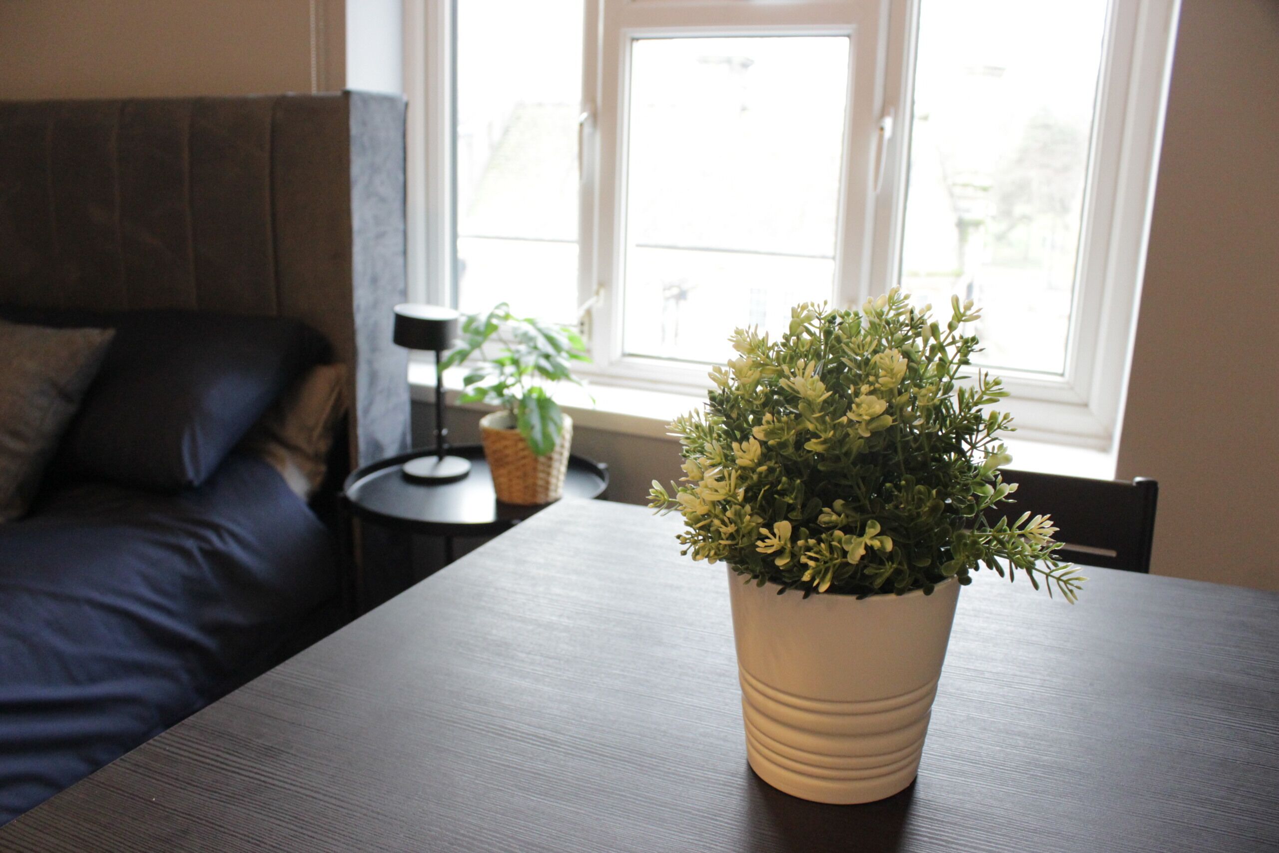 Spacious Studio Near Solent Uni W/ Free Wifi - The Ageas Bowl