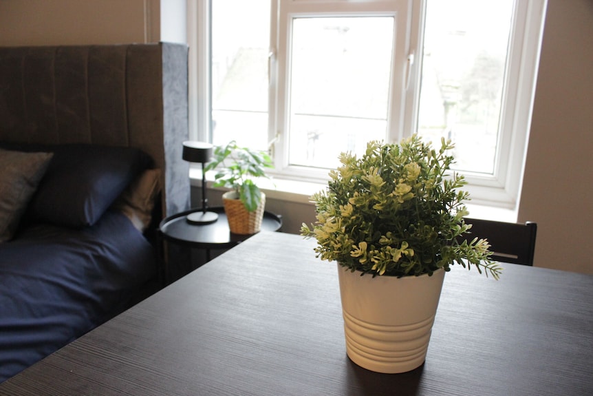 Spacious Studio Near Solent Uni W/ Free Wifi - The Ageas Bowl