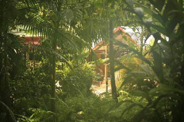 Tropical Bliss Bnb - Queensland