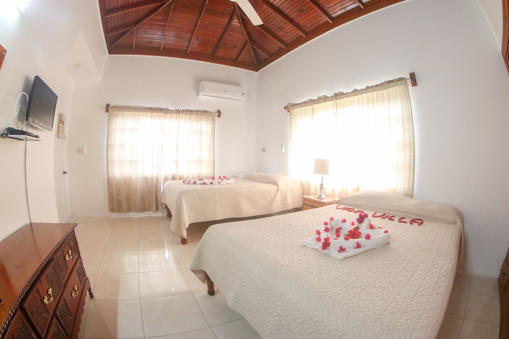 Van Villa Holidays - Negril