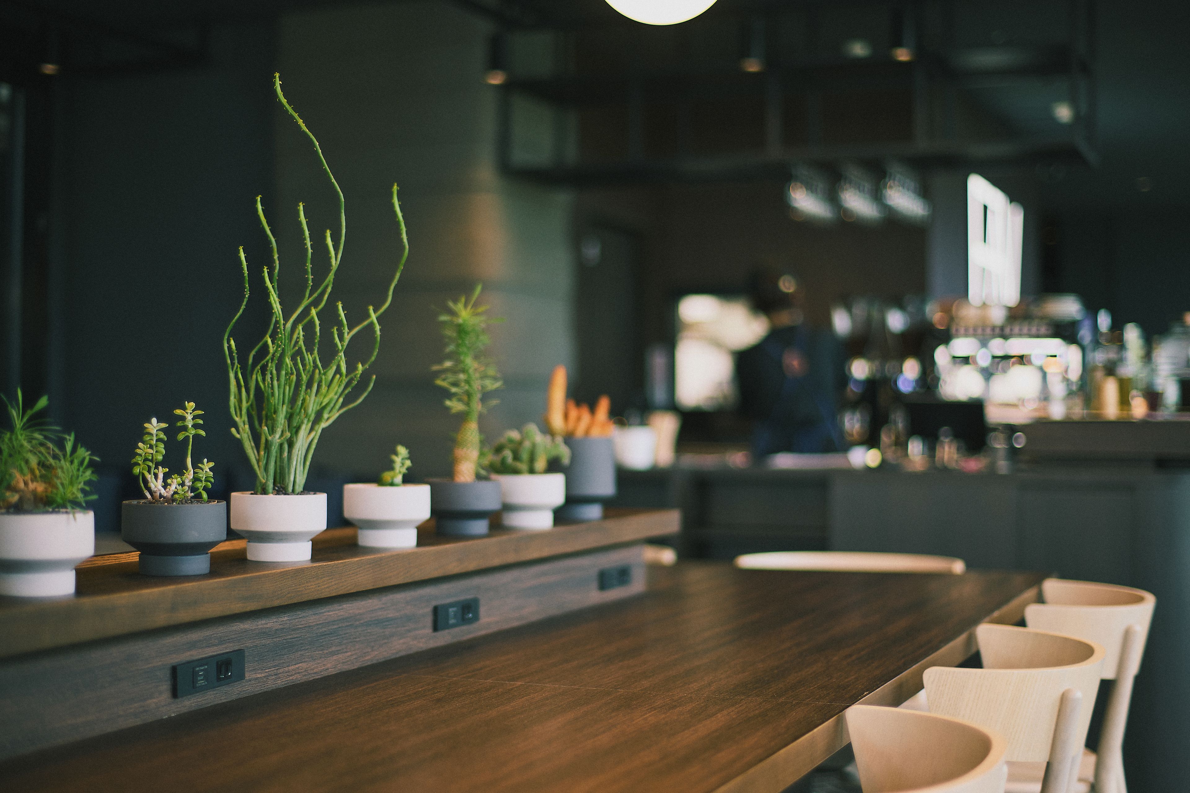 Uma área de bar com balcão de madeira, plantas em vasos e banquetas.
