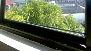 Vista da janela de um horizonte urbano com um edifício alto, uma mistura de edifícios residenciais e comerciais, e vegetação exuberante em primeiro plano.