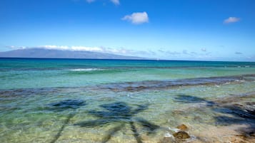 Vila, 2 quartos, vista para a praia (ML-3523) | Praia | Na praia, areia branca