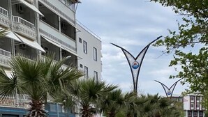 Rua com palmeiras e um edifício com varandas.