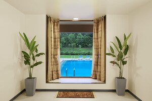 Roupas de cama de algodão egípcio, roupas de cama premium