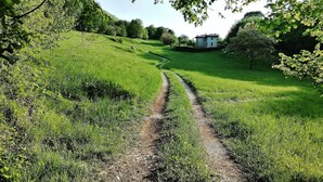 Paisagem rural com um caminho de terra que leva a uma casa rodeada por vegetação exuberante.