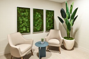 Um quarto com duas poltronas bege, uma pequena mesa redonda com tampo azul e uma grande planta em vaso de folhas largas.