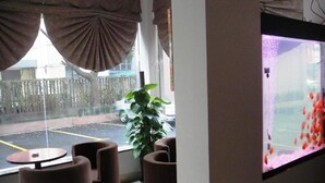 Um quarto com uma janela grande, uma planta em vaso e um aquário na parede.