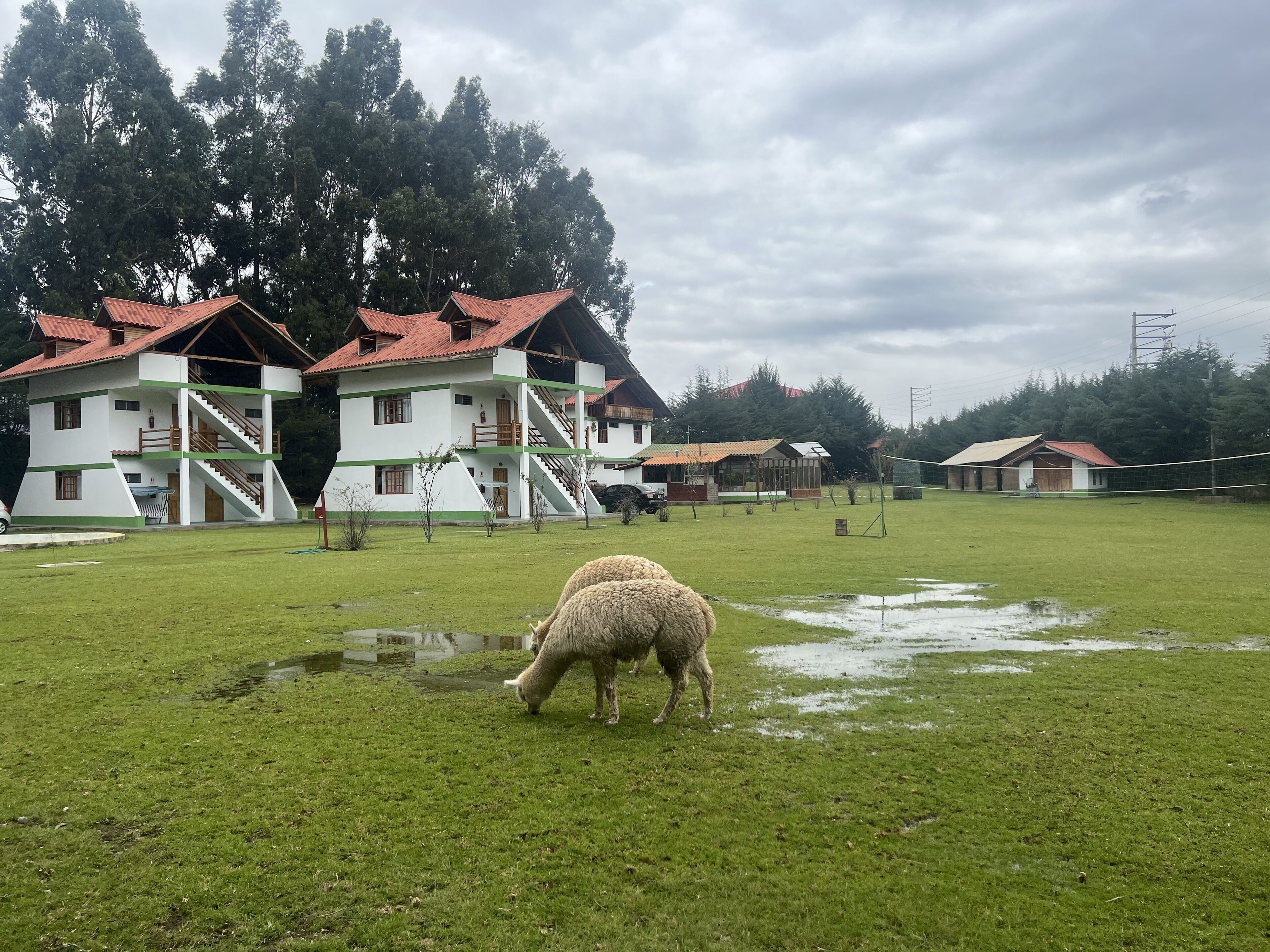 Um campo gramado com um pequeno lago e um edifício com telhado vermelho e paredes brancas.