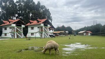 Um campo gramado com um pequeno lago e um edifício com telhado vermelho e paredes brancas.