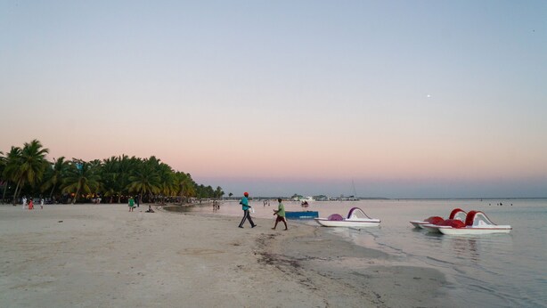 Uma praia com pessoas caminhando, palmeiras e barcos na areia.